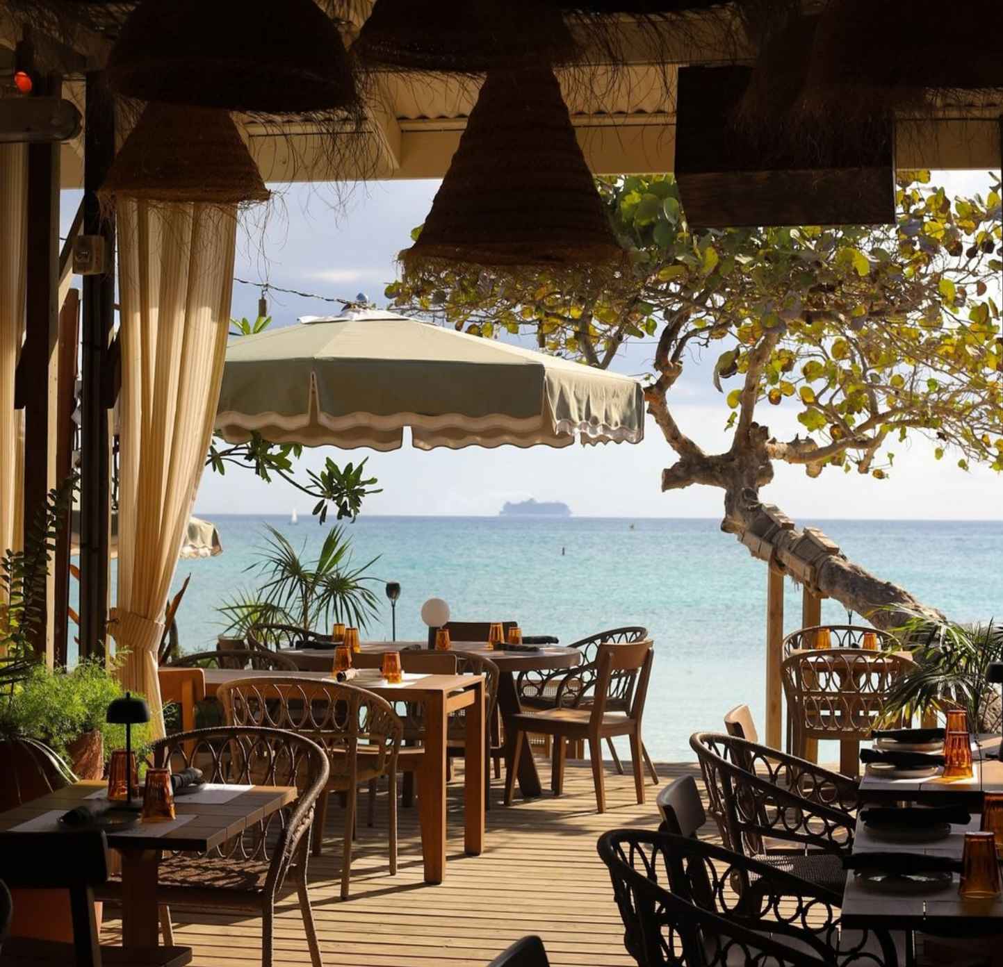 Bonny Moon - International - Menu, Photos, Reviews | Cayman Good Taste